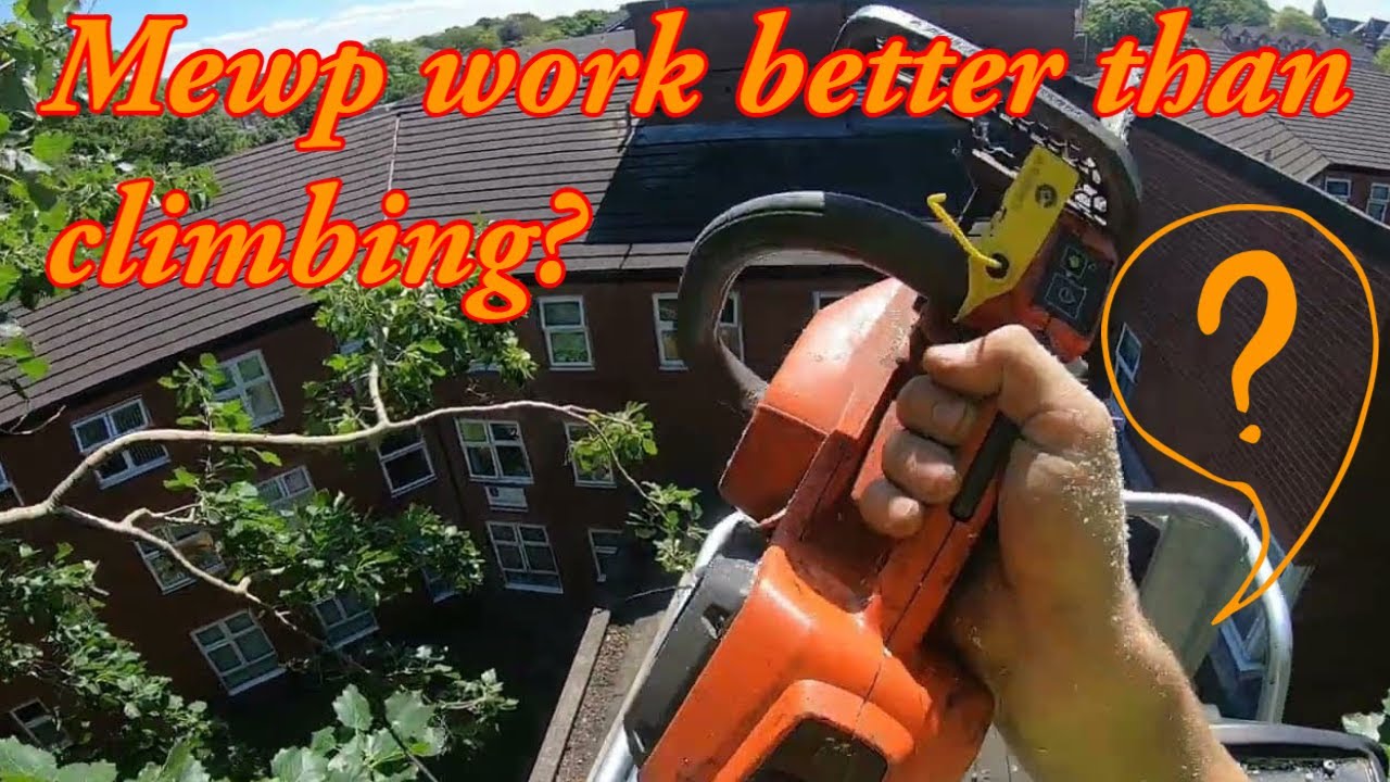 Reducing a TREE with a Cherry Picker - YouTube