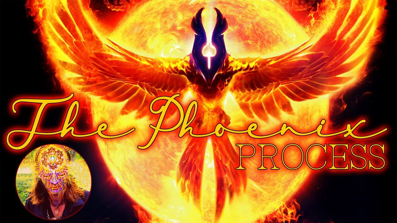 The Phoenix Process-Conscious Awakenings, New Capacities of Mind and ...