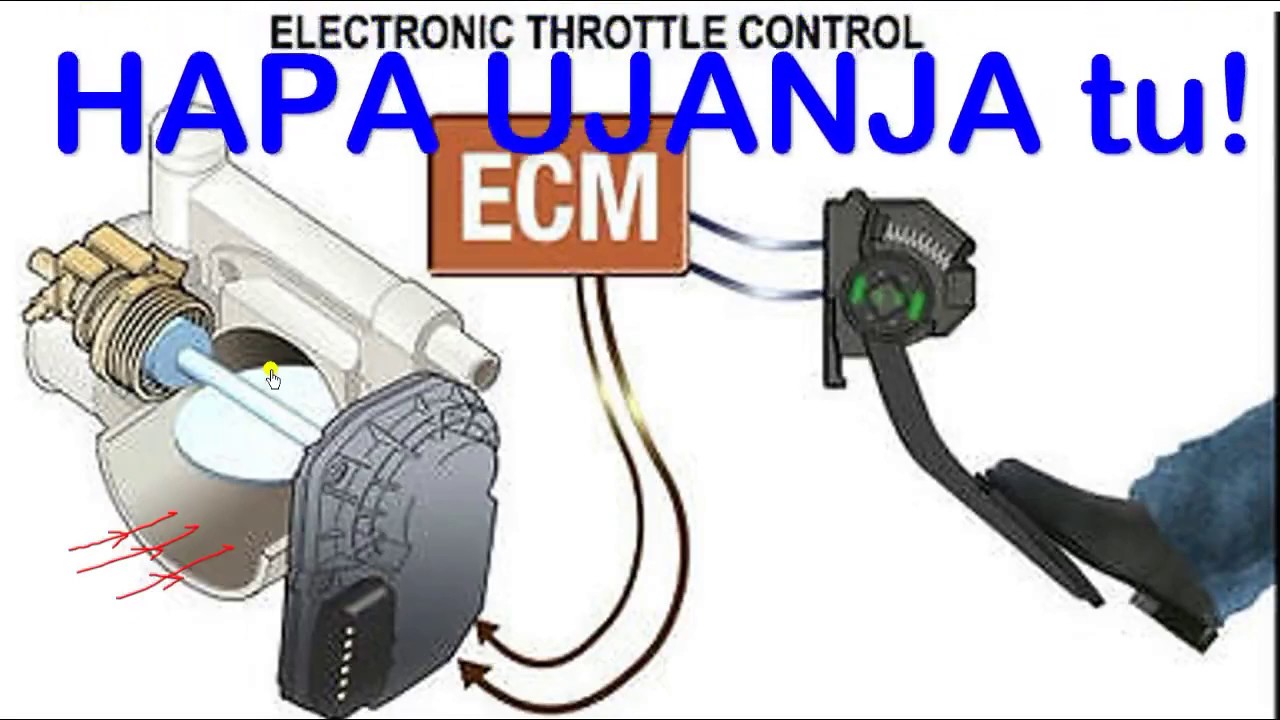 Jogolize all Throttle Control System's Inputs & OutPuts with/ot ...
