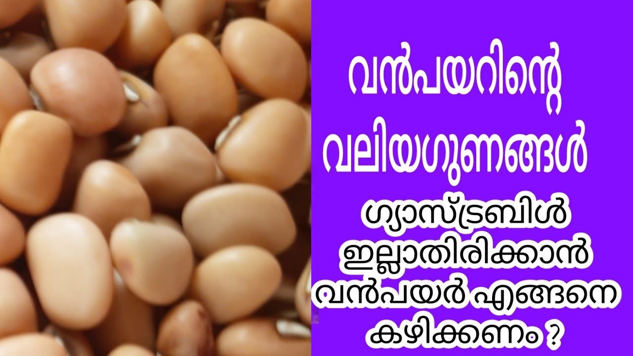 HEALTH BENEFITS OF KIDNEY BEANS / വൻപയറിന്റെ വലിയ ഗുണങ്ങൾ / VANPAYAR ...