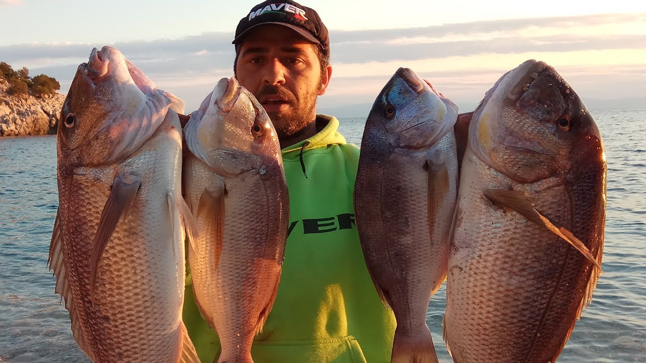 ΨΑΡΕΜΑ ΣΕ ΔΥΣΚΟΛΟ ΒΥΘΟ - HEAVY CASTING ΓΙΑ ΣΥΝΑΓΡΙΔΕΣ!!! LIVE BAIT ...