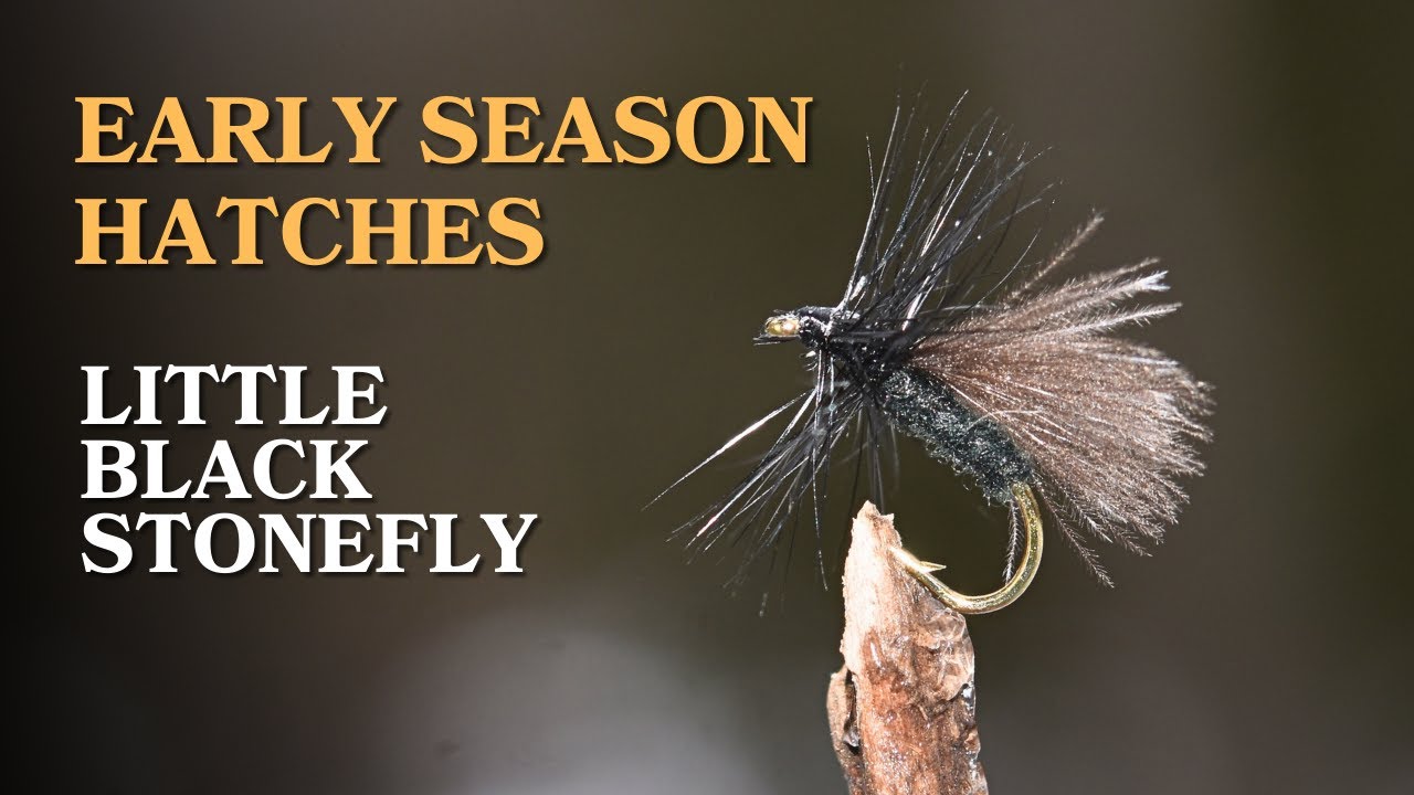 Tying the Little Black Stonefly, Early Season Hatches - YouTube