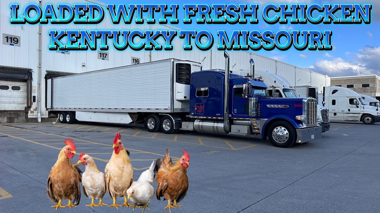 KENTUCKY TO MISSOURI WITH FRESH CHICKEN LOAD IN PETERBILT 389 PRIDE AND ...