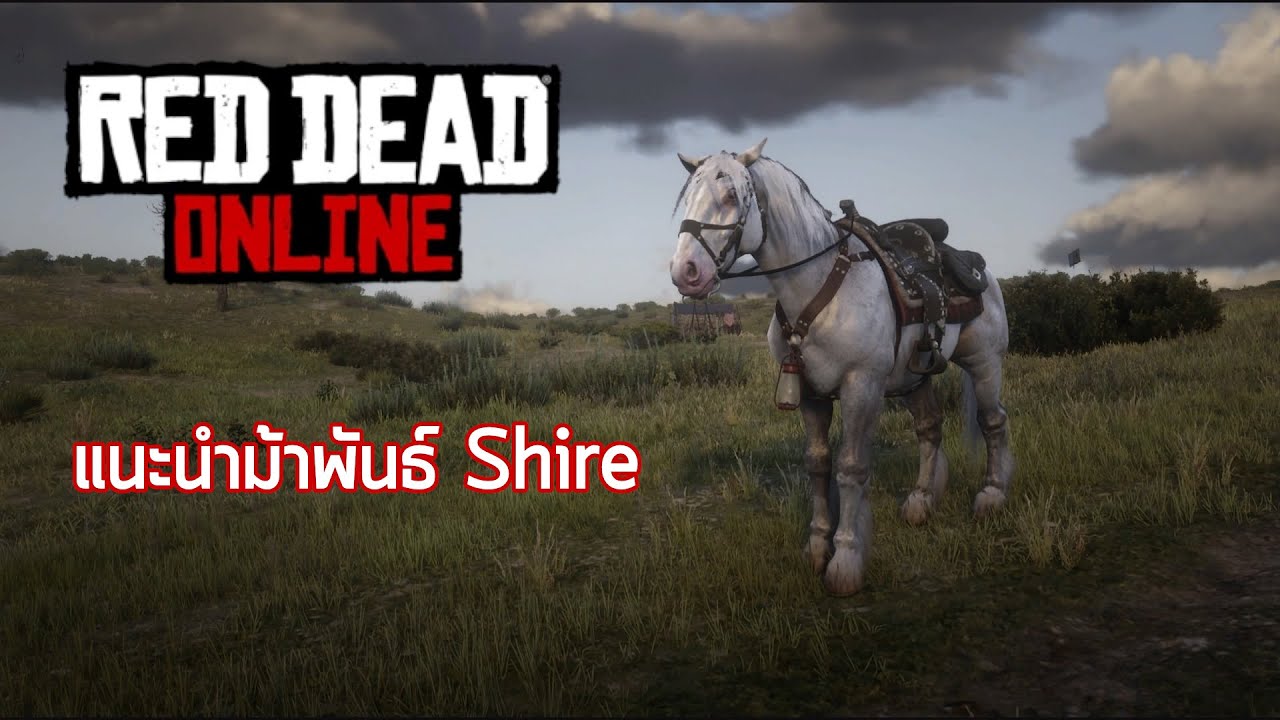 Red Dead Online: แนะนำม้าพันธ์ Shire - YouTube