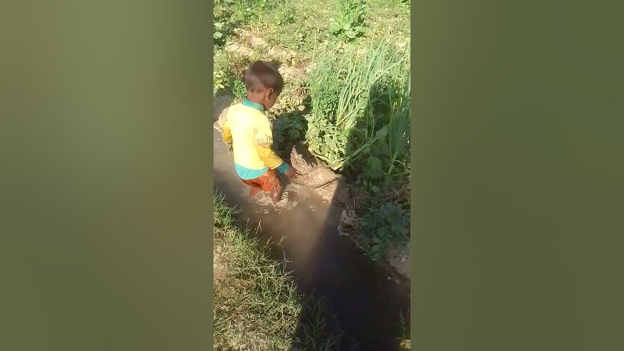 Kartik khet me pani bhar raha hai#viralshort - YouTube