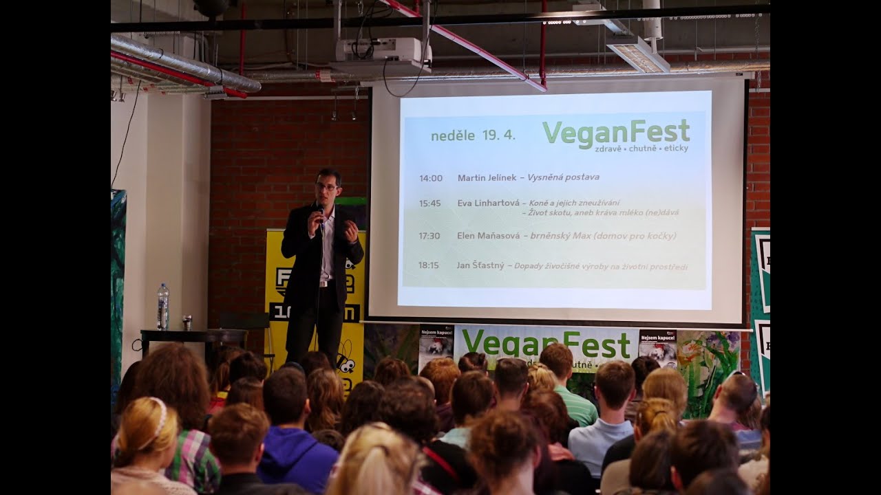 Martin Jelínek - Vysněná postava (VeganFest 2015) - YouTube