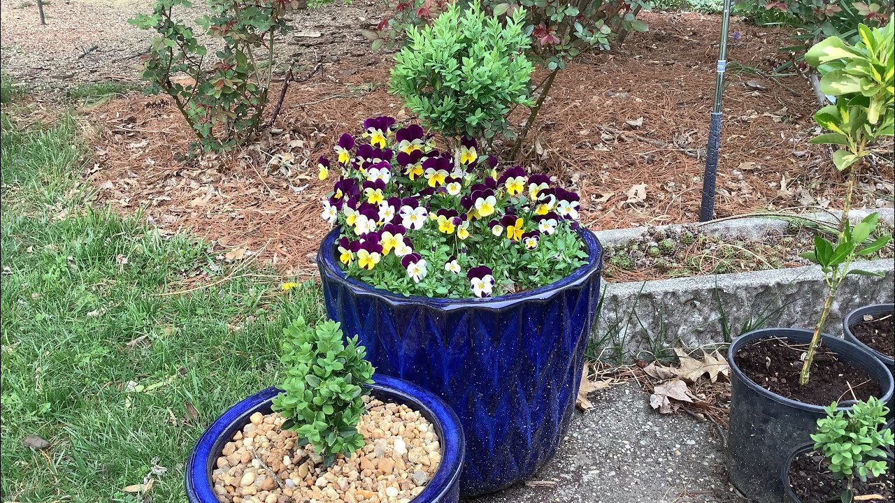 Early Spring Garden Tour 2023 - YouTube