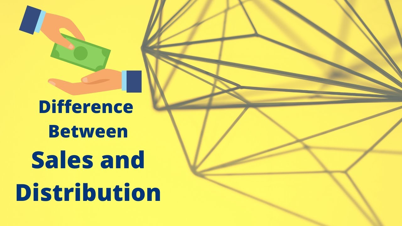 Difference between sales and Distribution Management - YouTube