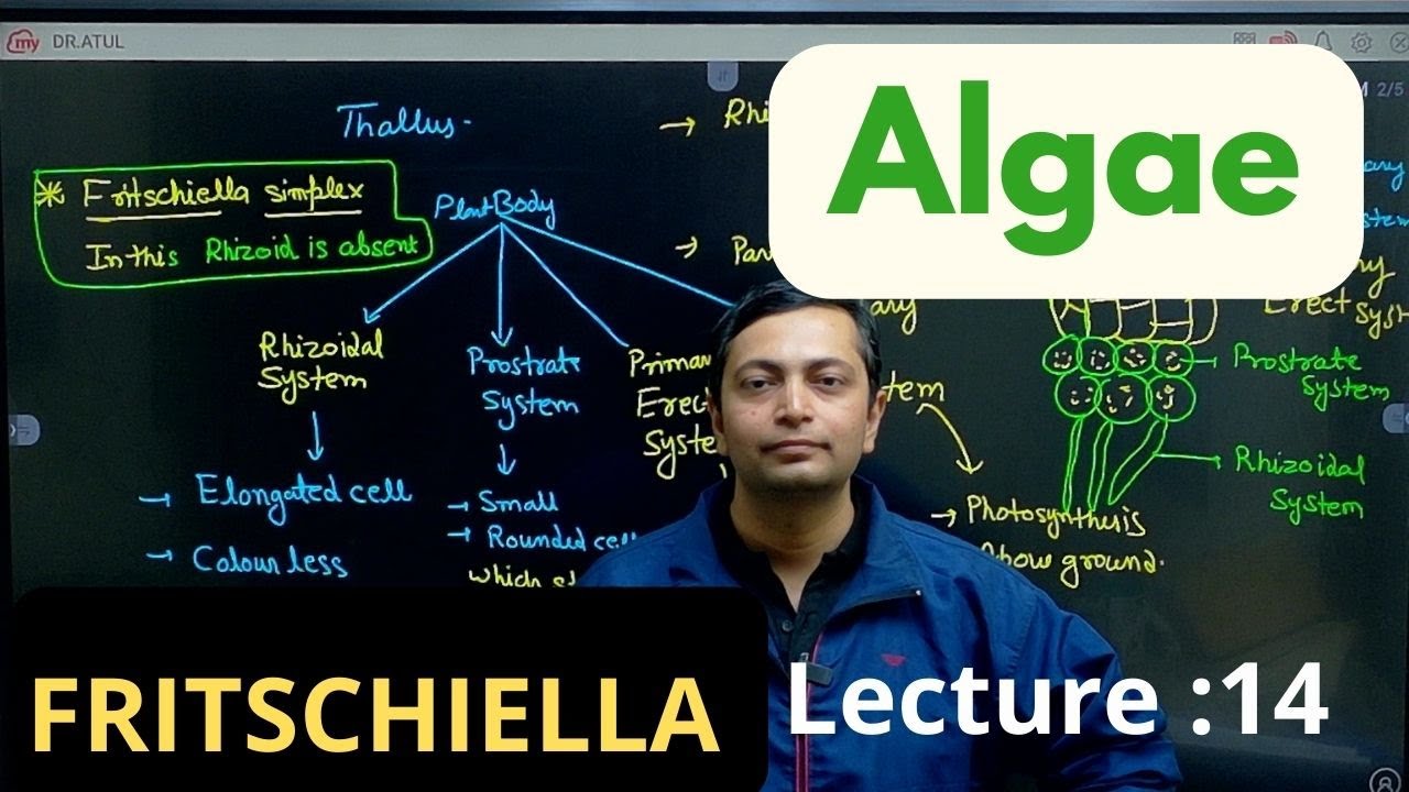 Lecture : 14, Fritschiella #biology #algae - YouTube