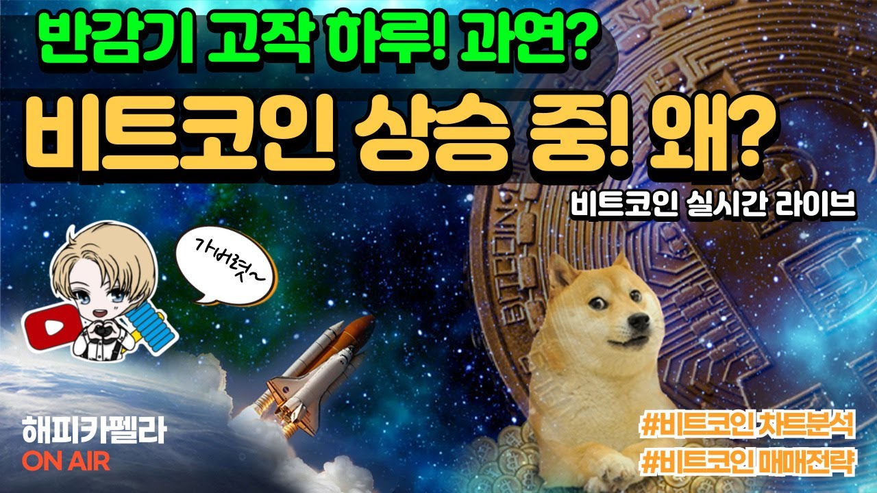 비트코인 실시간 비트 상승 중 반감기 까지 단 하루 상승 하락 방향성은 419 아침💎비트코인 비트코인실시간