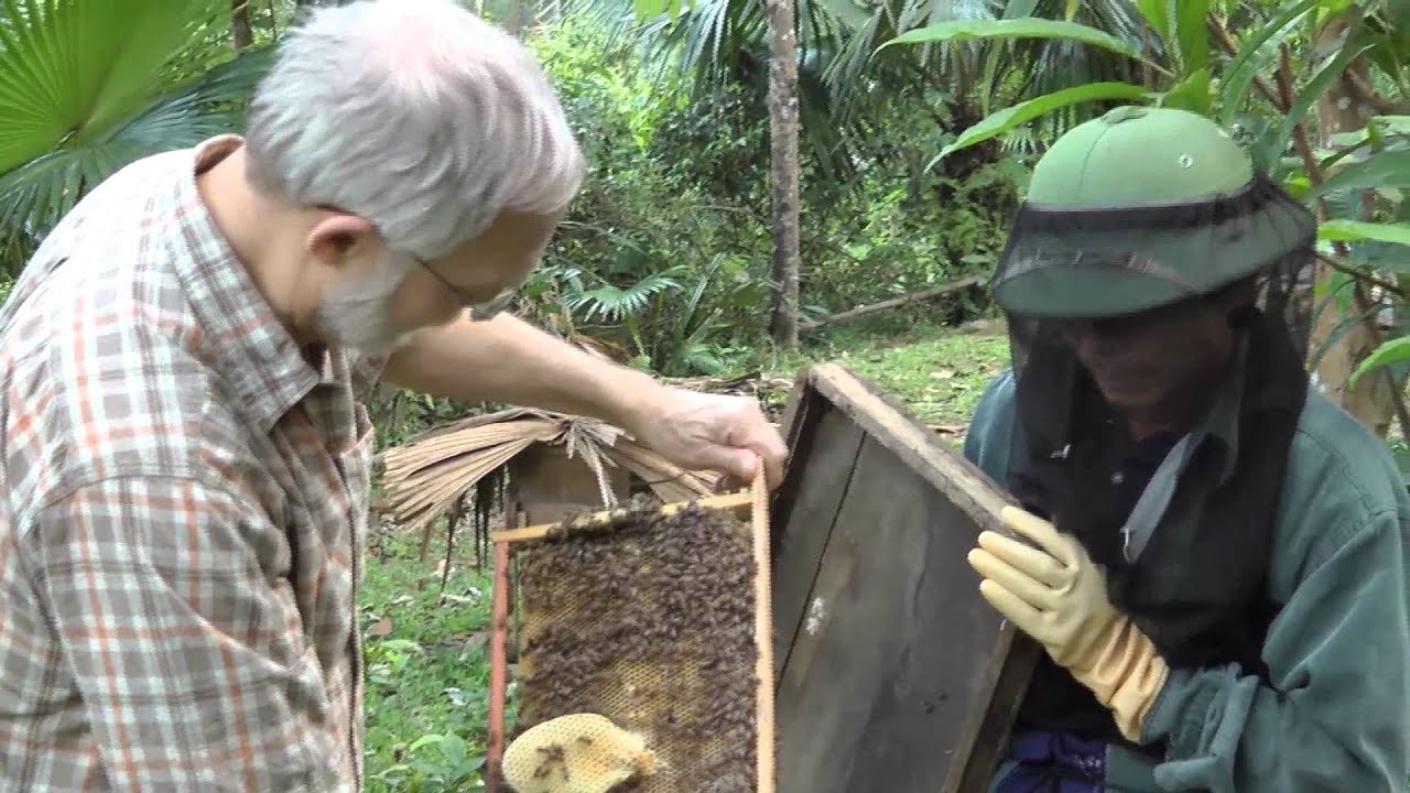 Beekeeping Extension in Vietnam - YouTube