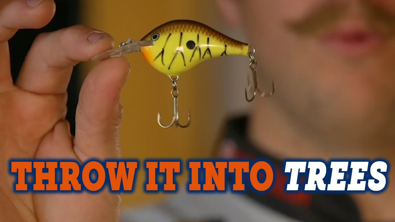AWESOME Bass Fishing Trees with SECRET Baits - YouTube