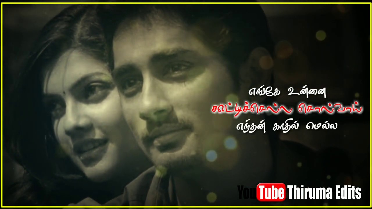 Tamil_love_feelings_songs_whatsapp_status_lyrics - YouTube