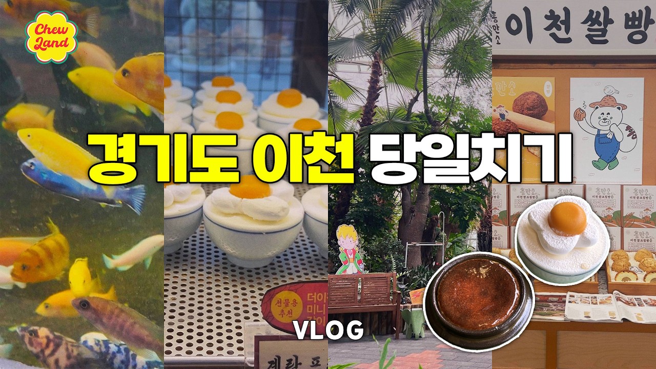 3년 만에 이렇게 변했다고 경기도 이천 당일치기 여행하기ㅣ이천 쌀 맛집 투어 브이로그🍚 Youtube