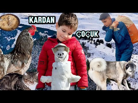 KARDAN ÇOCUK YAPTIK / KUZU KÖPEĞE SARILARAK UYUYOR / DAĞDA ÇOCUKLAR  ÇALIŞIYOR 