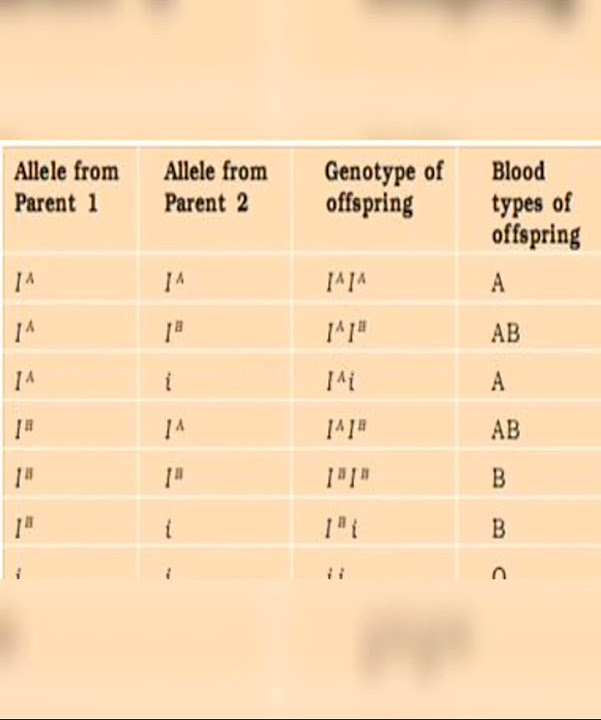 CODOMINANCE| MULTIPLE ALLELISM| PRINCIPLES OF INHERITANCE| HEREDITY| BIOLOGY| NCERT| NEET - YouTube