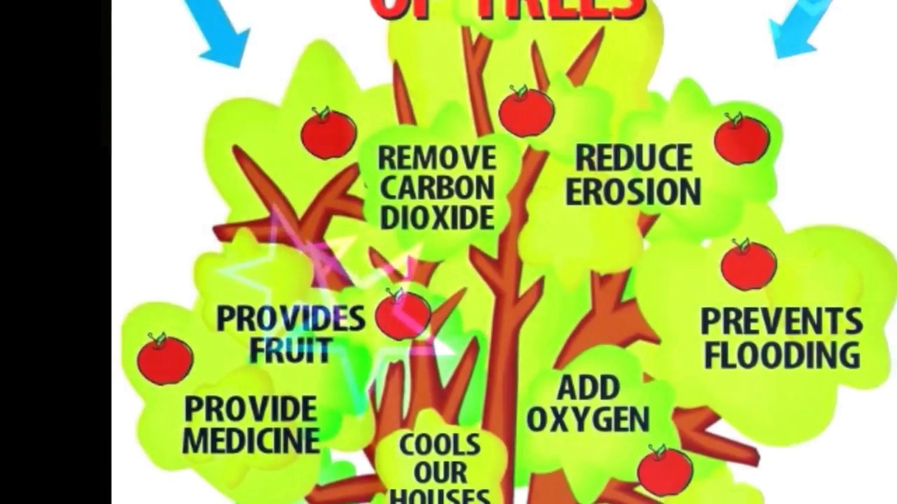HEAL THE EARTH HEAL OUR FUTURE - YouTube