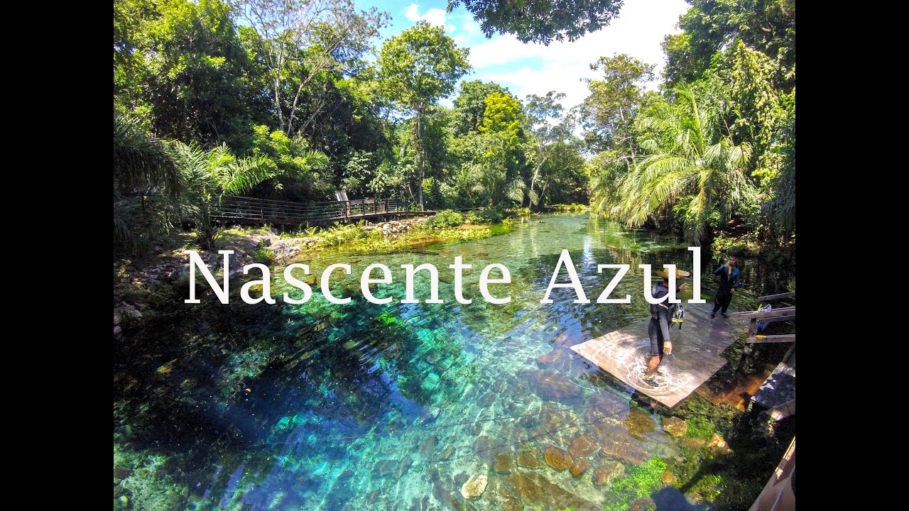 Bonito MS - Flutuação na nascente azul 🤿 - YouTube