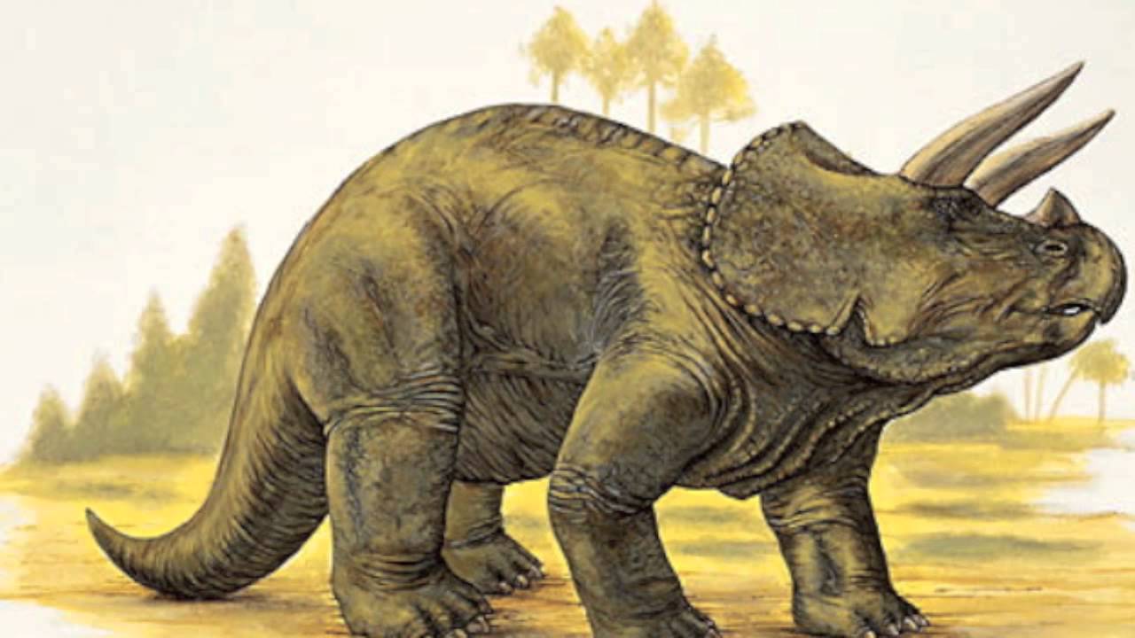 AotF - Chippy, or Machines without loving grace, or Asian policy on ...