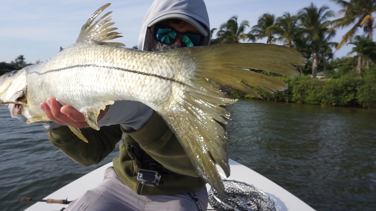 Seriously Roughed Up Fish - YouTube