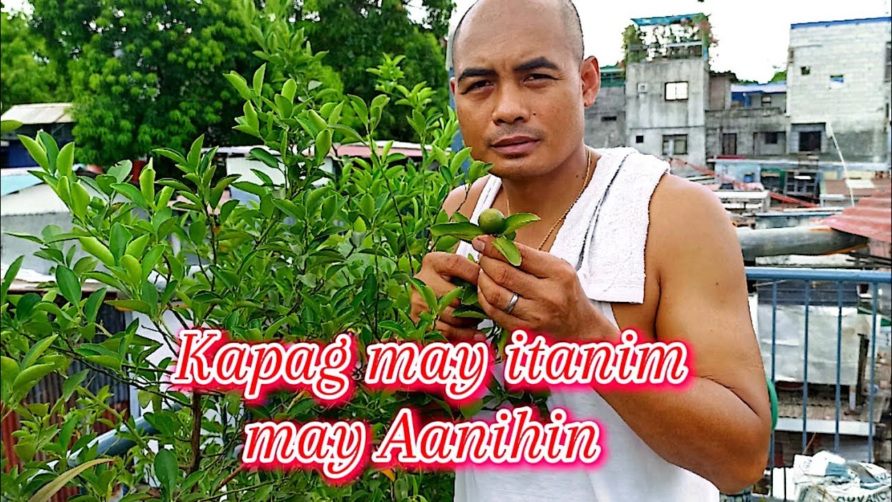 Kapag may itanim may Aanihin - YouTube