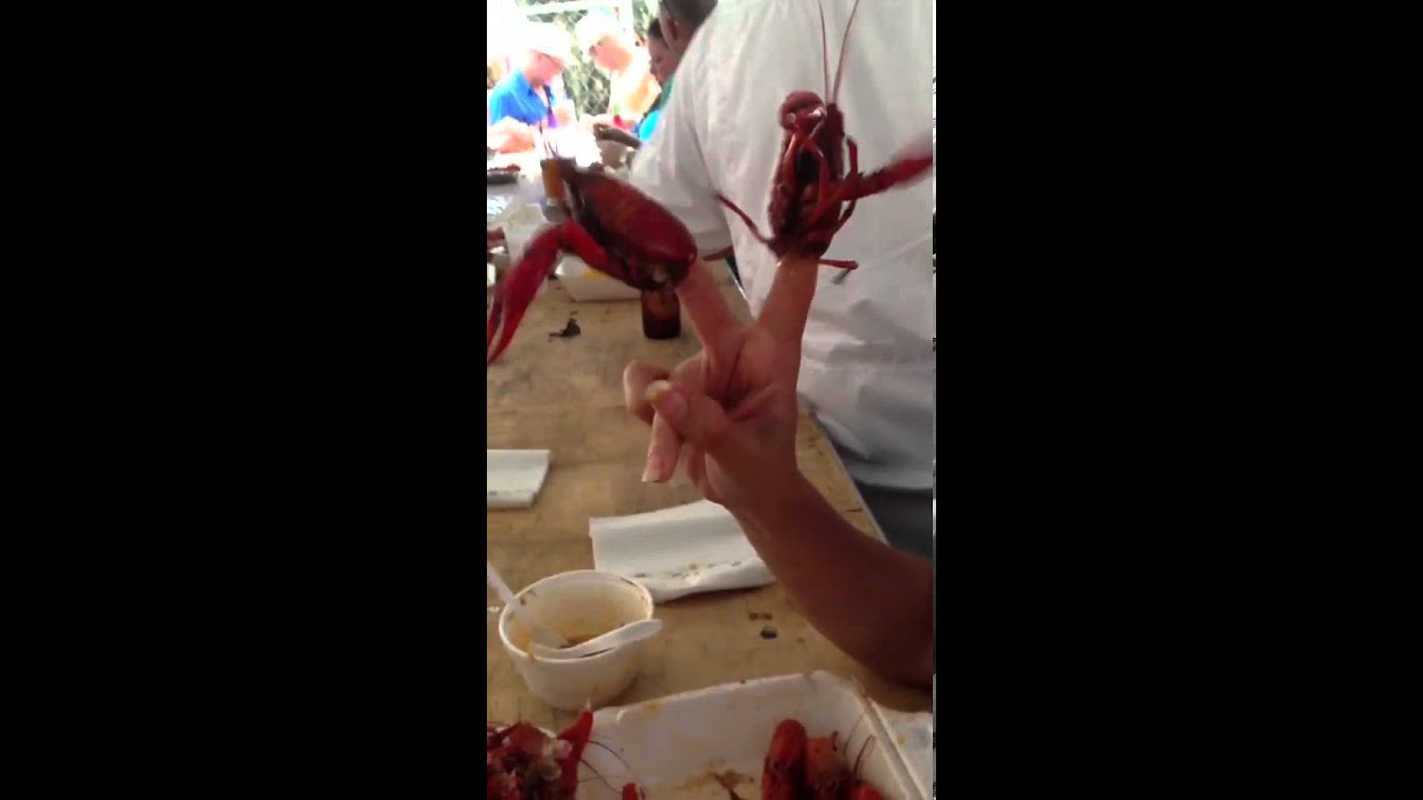 Dancing crawfish - YouTube