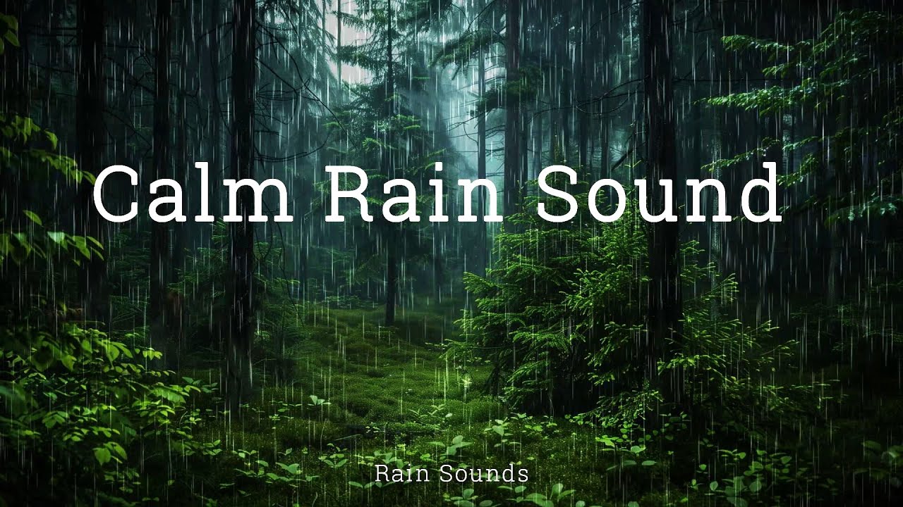 Calm Rain Sound | Relaxation and Stress Blocking With Falling Rain ...