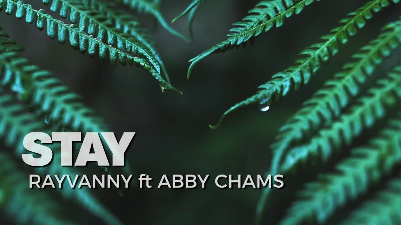 Rayvanny - Stay ft Abby Chams - YouTube Music