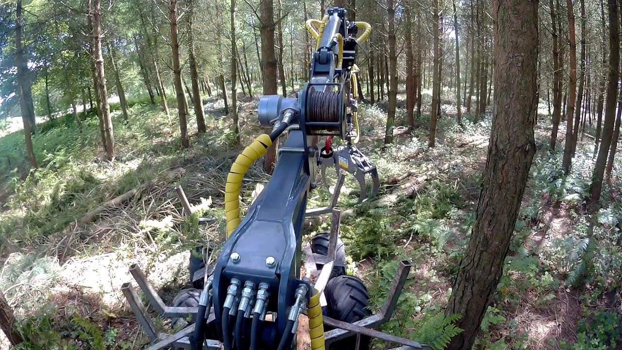 Logbullet Forwarding in the sunshine - YouTube