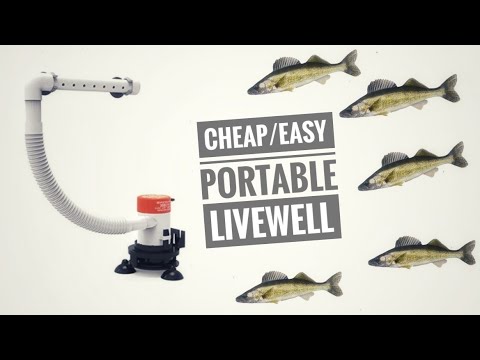 CHEAP DIY Portable Livewell build under $50! - YouTube
