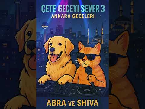 Çete Geceyi Sever 3 Ankara Geceleri