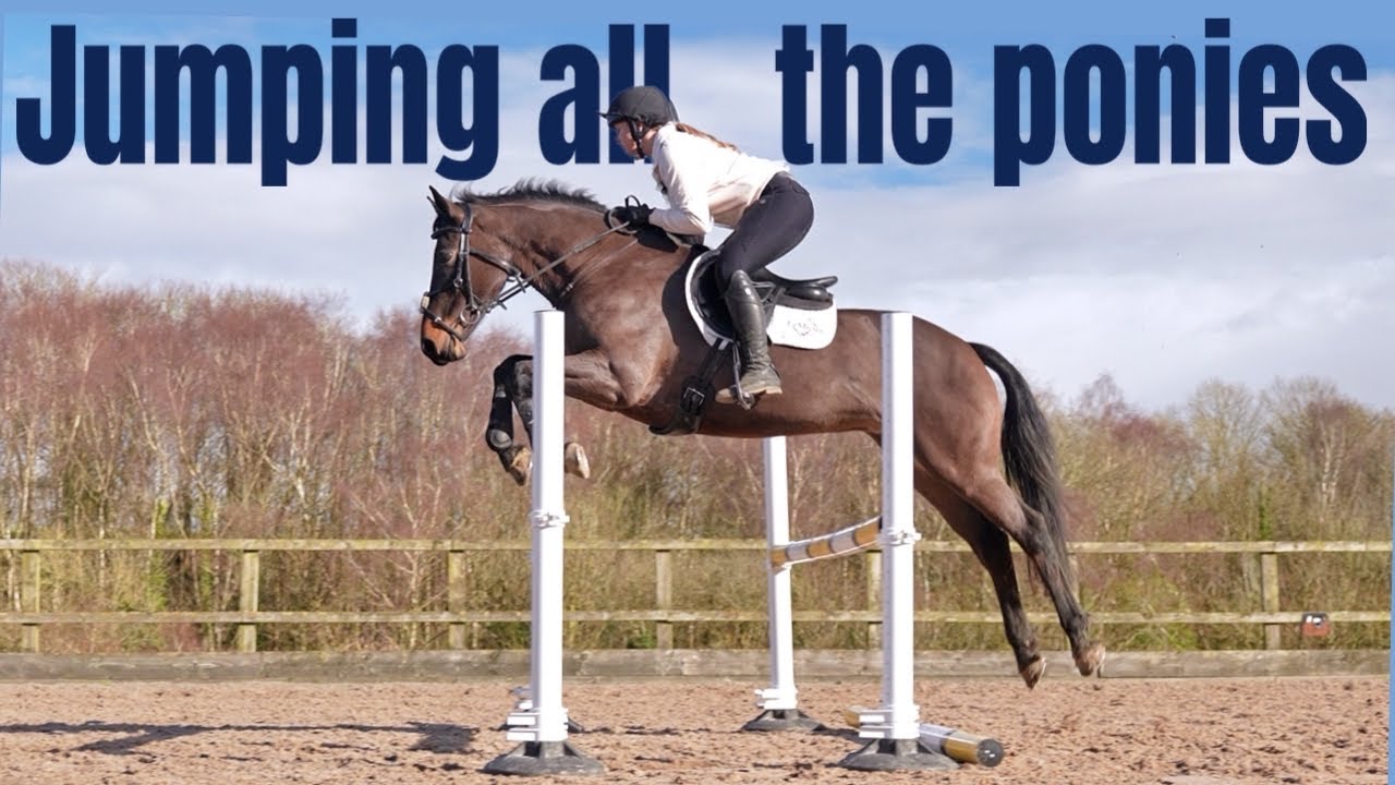 Jumping All The Ponies In 1 Day - YouTube