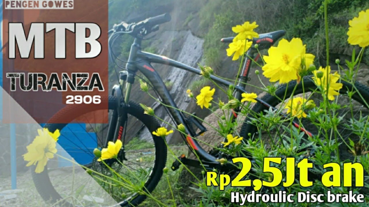 Unboxing MTB Turanza 2906 Full video & bike check! - YouTube