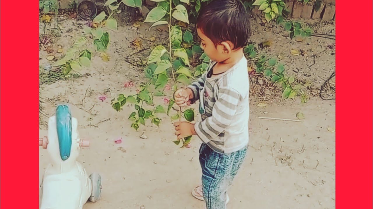 cute baby entertainment - YouTube