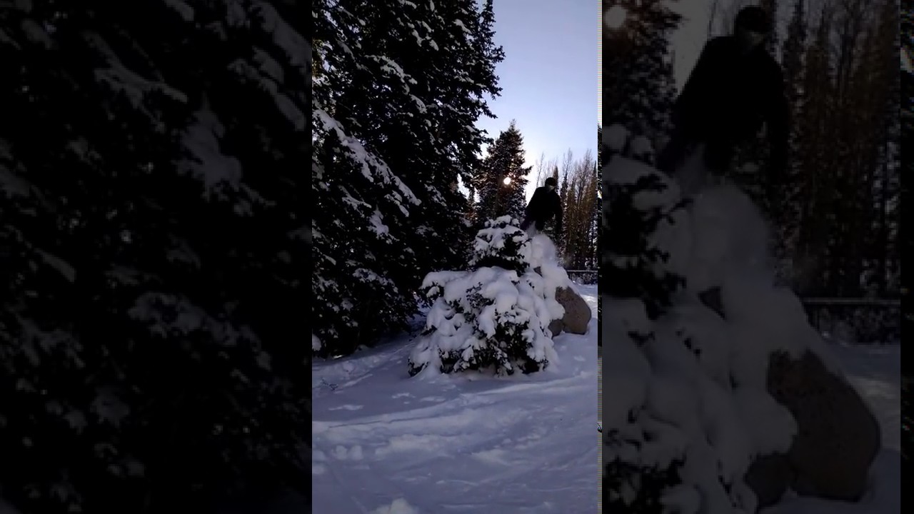 black ski pine tree jump fail - YouTube