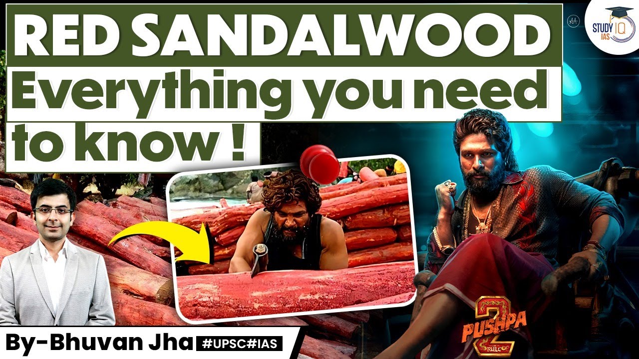 Why Red Sandalwood is so valuable? | Pushpa Movie | UPSC Geography ...