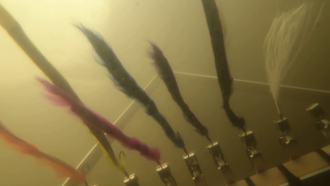 Underwater Color Test In Dirty Water - YouTube