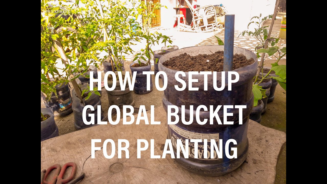 HOW TO SETUP GLOBAL BUCKET FOR PLANTING - YouTube
