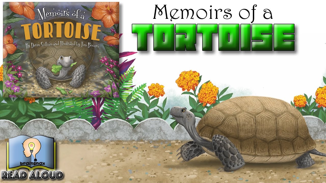 Read Aloud Book | Memoirs of a Tortoise | By Devin Scillian - YouTube