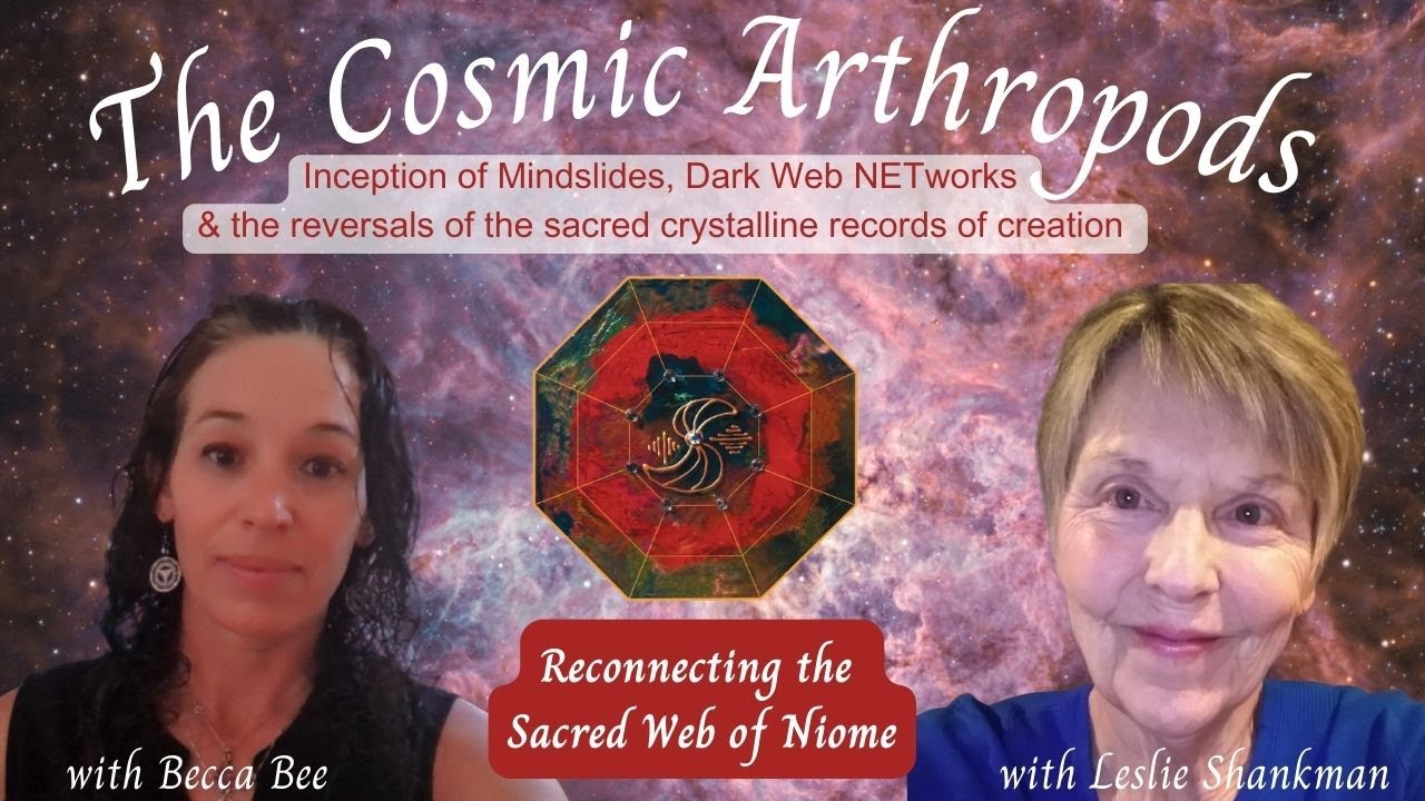 Cosmic Arthropods with Leslie Shankman * Clearing the False Webs ...