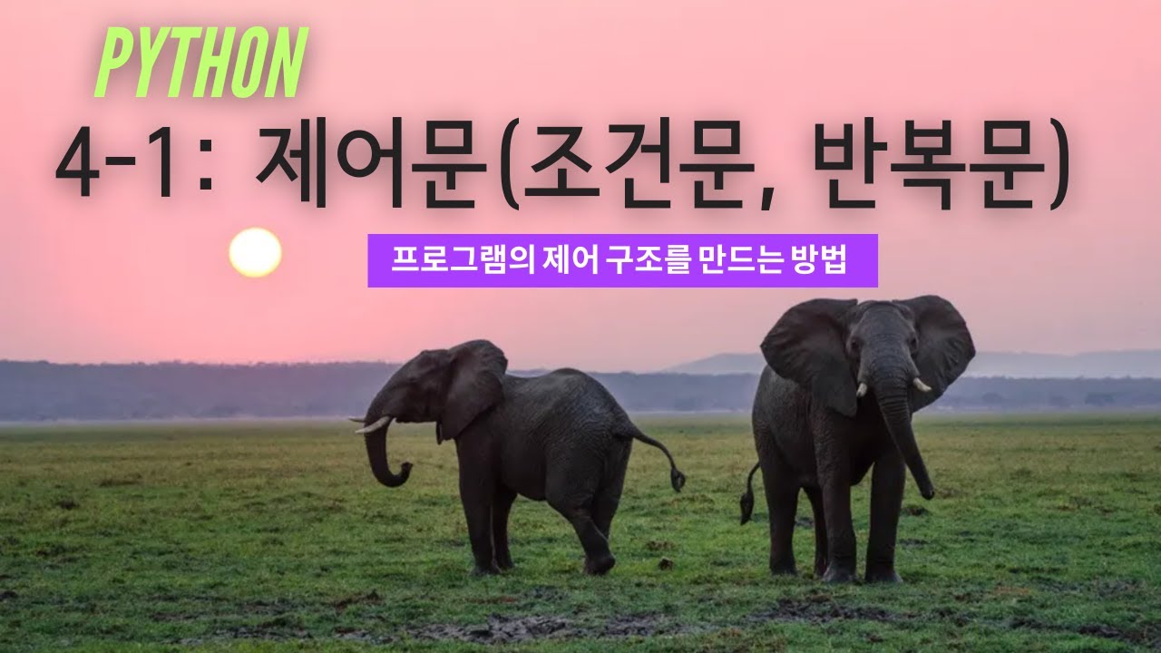 4장 파이썬 제어문조건문 반복문 Youtube