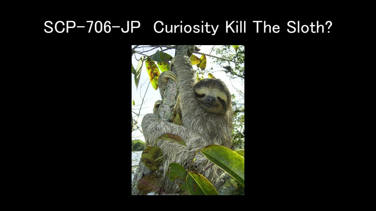 【ゆっくり朗読】 SCP-706-JP Curiosity Kill The Sloth? 【SCP財団】 - YouTube