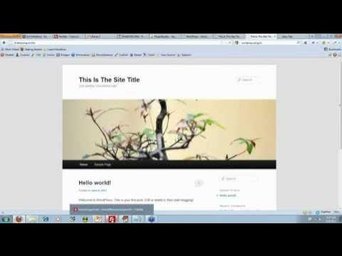 Wordpress Crash Course Video 1 - WP Basics - YouTube