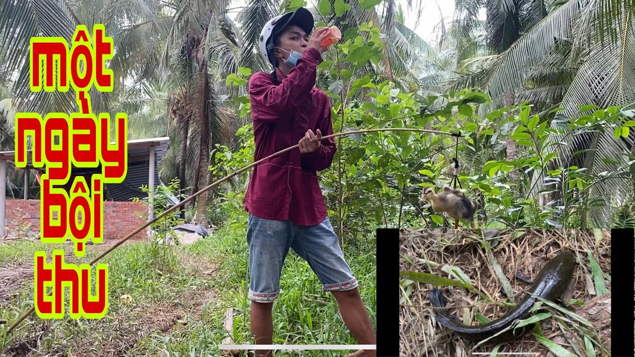 CÂU CÁ LÓC, CÁ TÁP LIÊN HOÀN || NDK Vlogs - YouTube