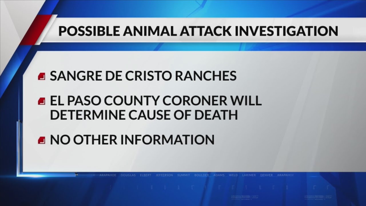 CPW investigating suspected deadly animal attack - YouTube
