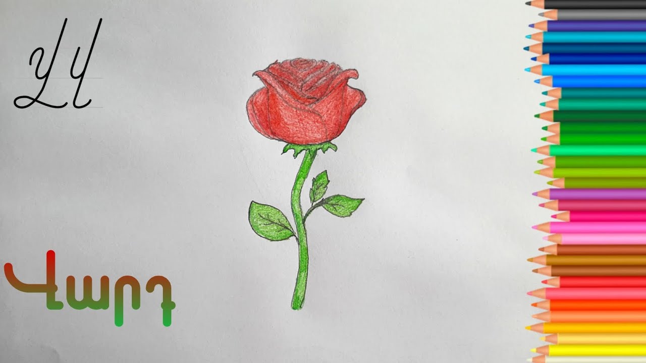 Վ տառ - Վարդ։ Սովորենք տառերը հեշտ՝ նկարելով։ /Drawing Rose | armenian ...