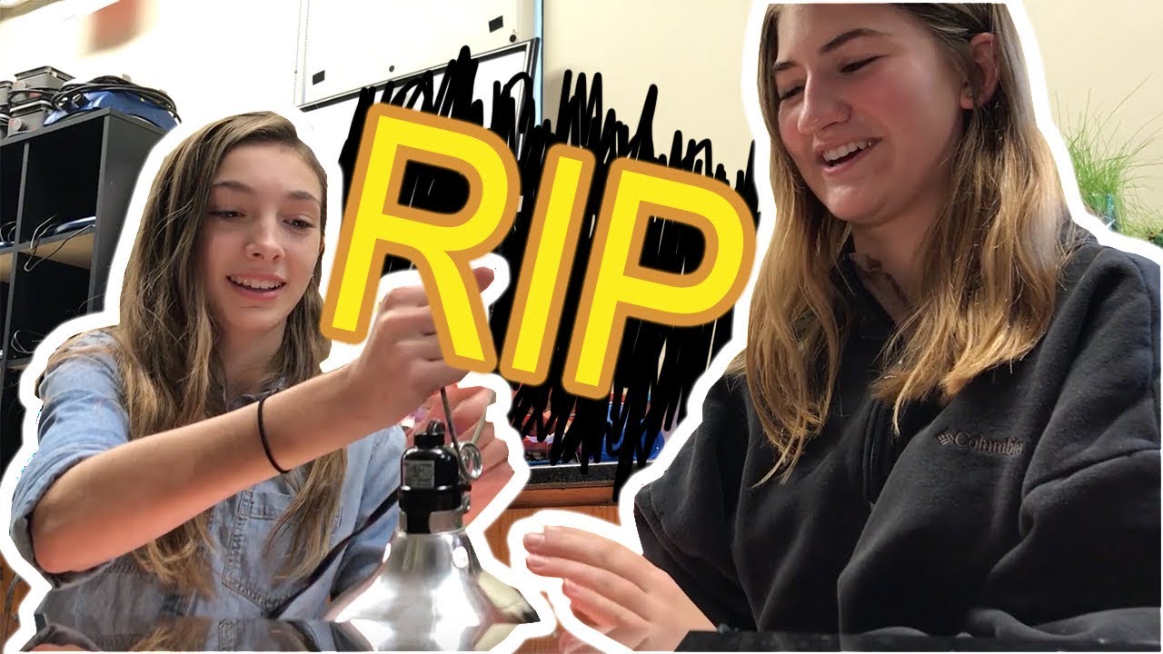 School Vlog Mukbang Youtube