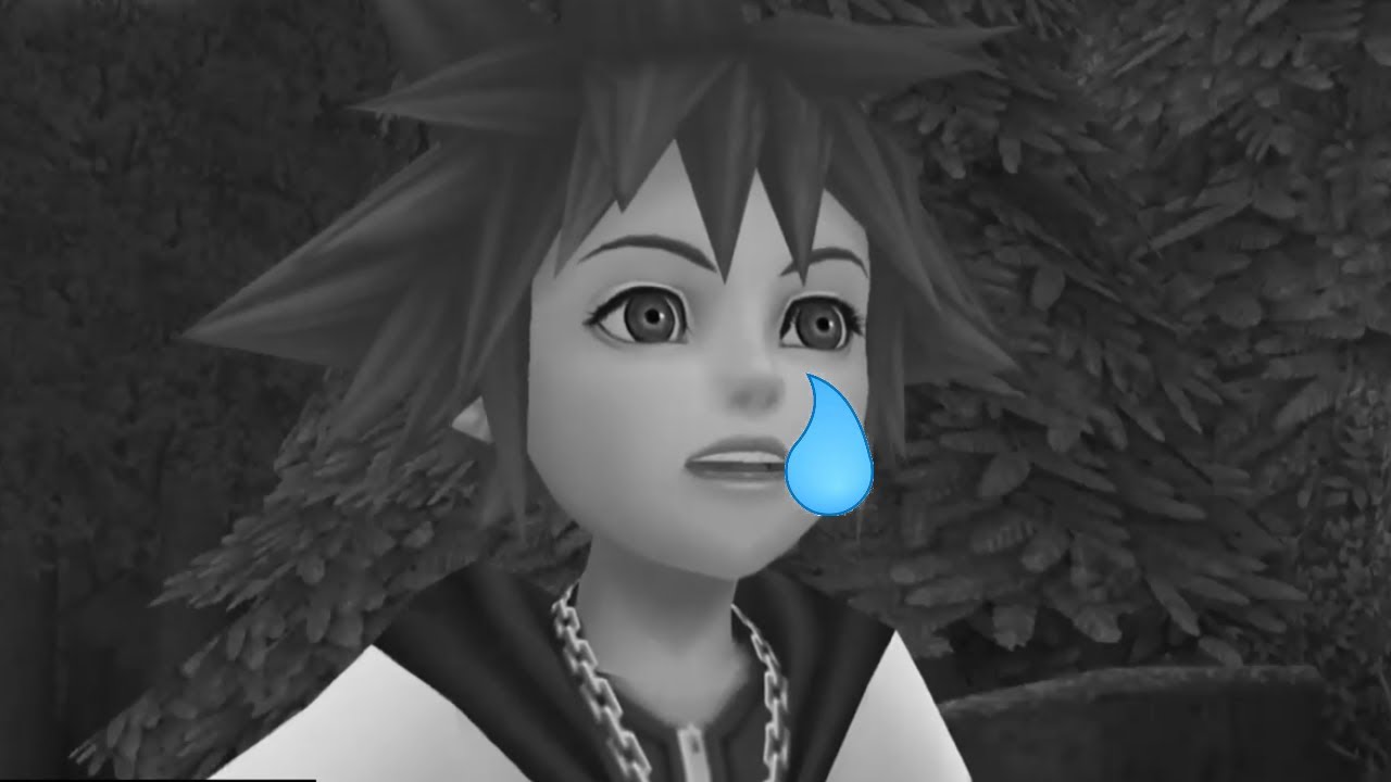 Youtube Poop Kingdom Hearts Craziness - YouTube