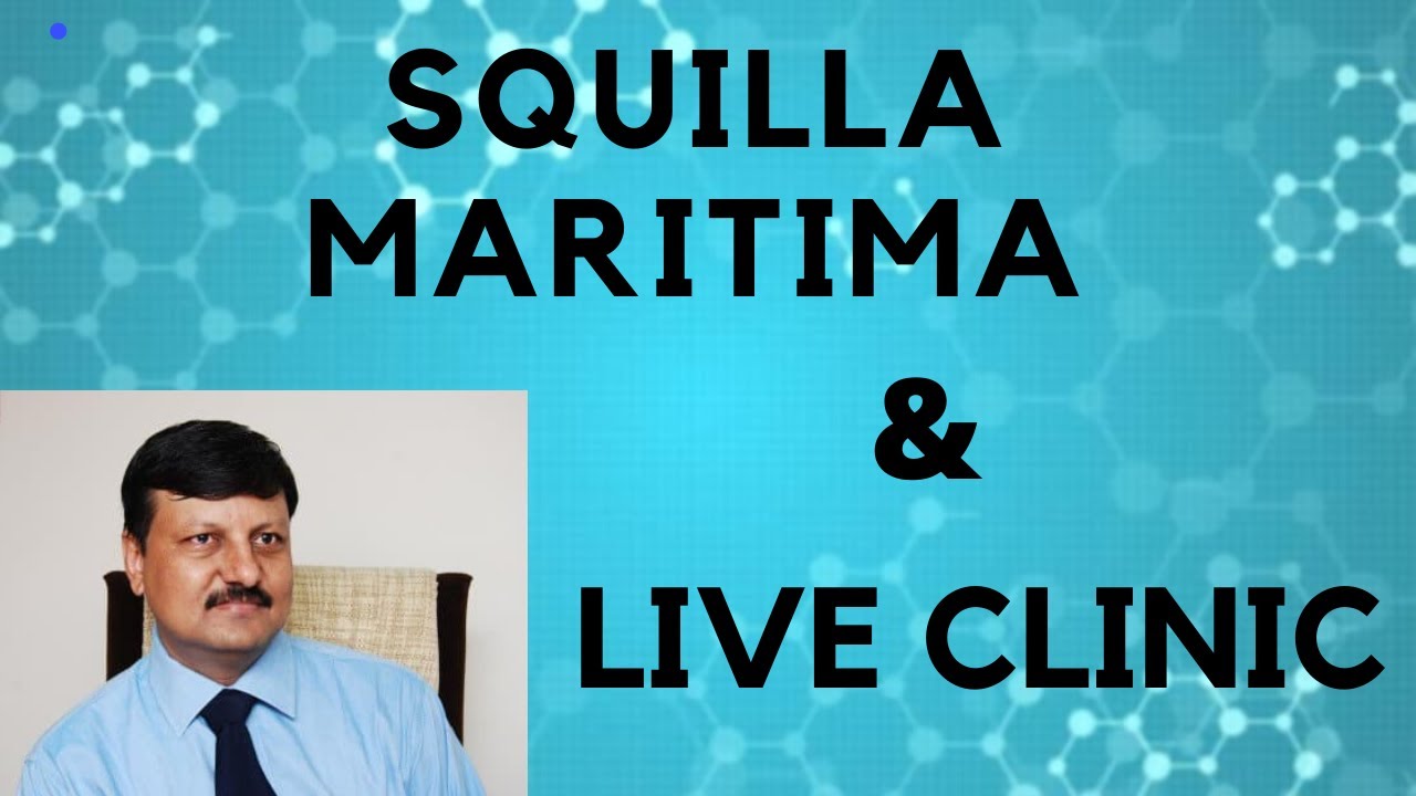 SQUILLA MARITIMA And Live clinic - YouTube