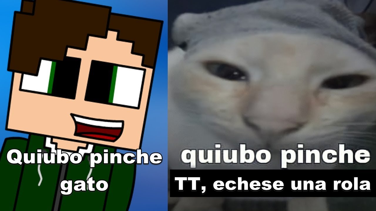 Quiubo Pinche Gato - Quiubo Pinche TT echate una rola. // PaxcualTT ...